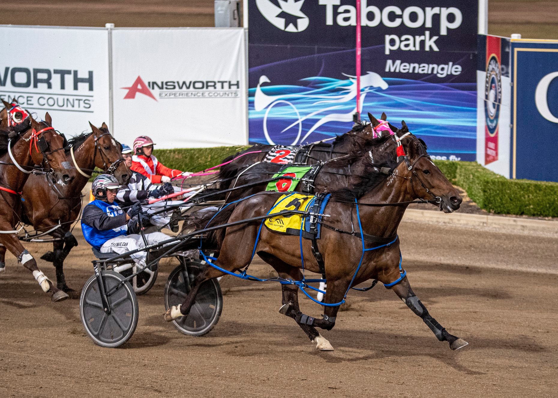 Saturday Aus Harness Racing Tips, June 19th | BetDeluxe Tips