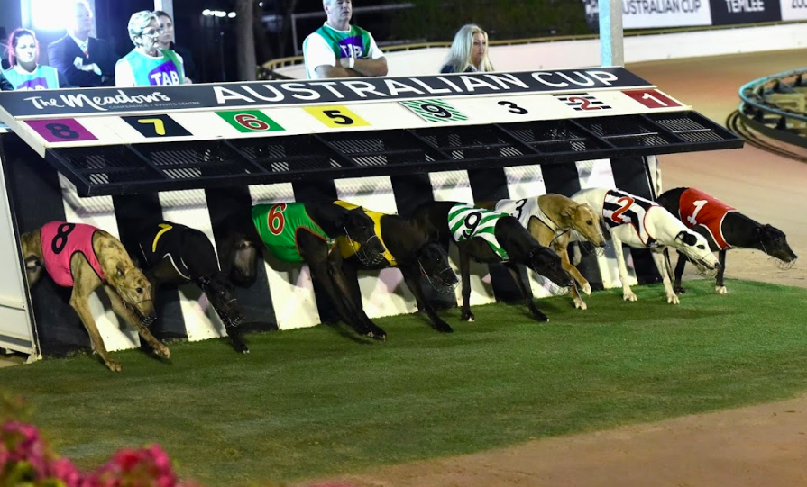 The Meadows Tips & Previews, Sat 24th July | BetDeluxe Tips