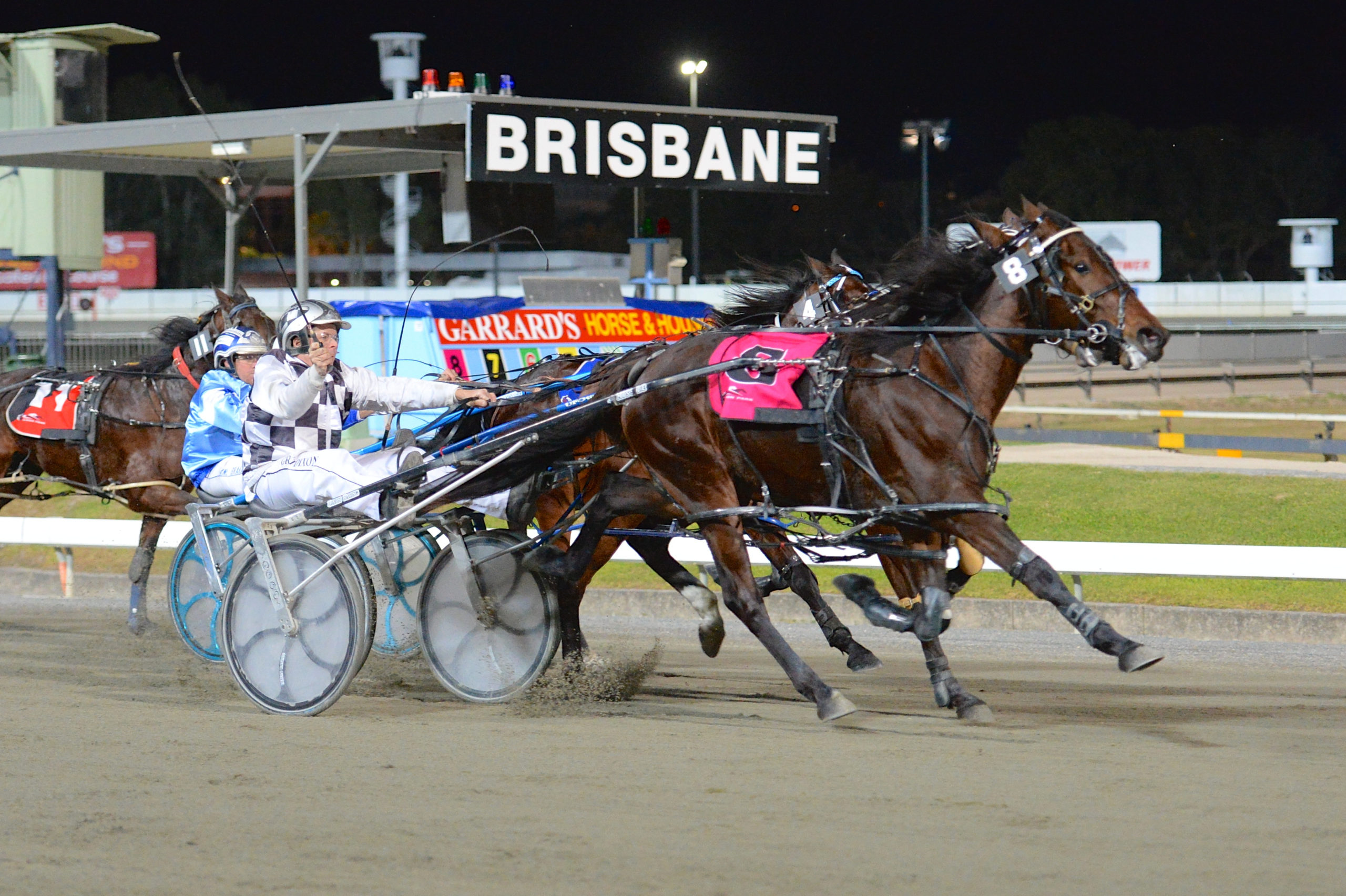 Harness Racing Tips & Preview, Sat July 9th | BetDeluxe Tips